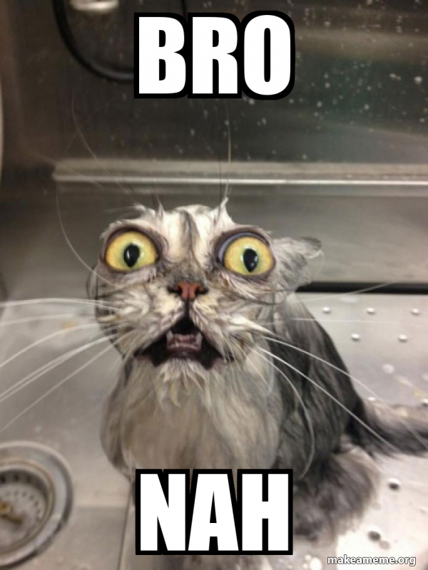 Bro Nah - Cat bath Meme Generator