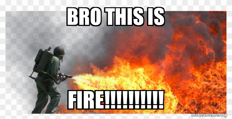 Bro this is Fire!!!!!!!!!! Meme Generator
