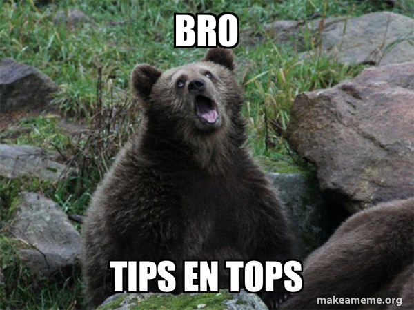 BRO Tips en Tops - Sarcastic Bear Meme Generator