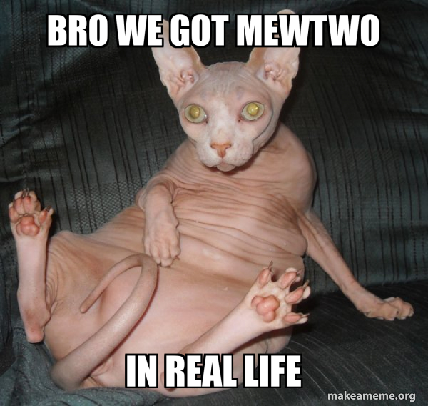 Bro we got mewtwo IN REAL LIFE - Hairless Cat Meme Generator