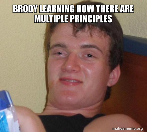Brody learning how There are multiple principles - [10] guy Meme Generator