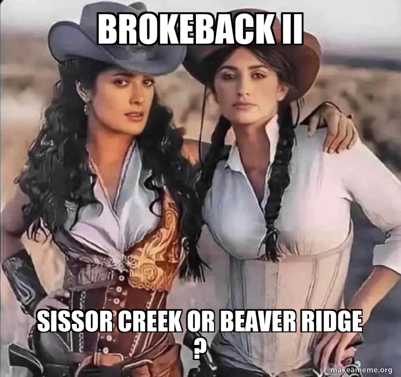 brokeback ii sissor creek or beaver ridge ? Meme Generator