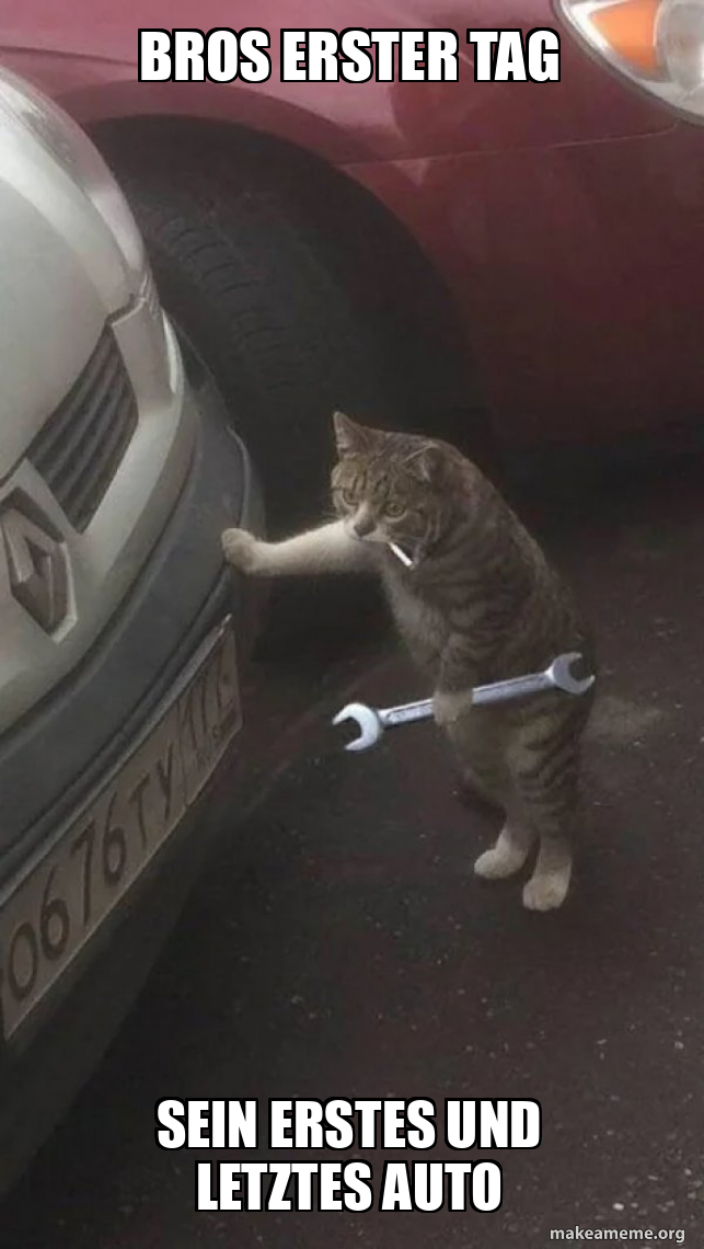Bros erster Tag sein erstes und letztes Auto - Mechanic Cat Meme Generator