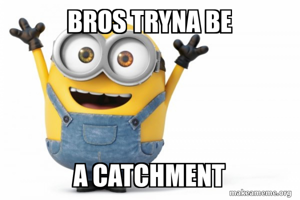 Bros tryna be a catchment - Happy Minion Meme Generator