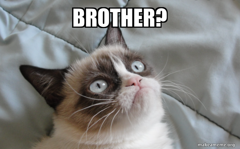 brother? Meme Generator
