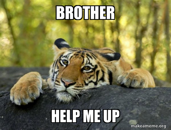 Brother help me up - Confession Tiger Meme Generator