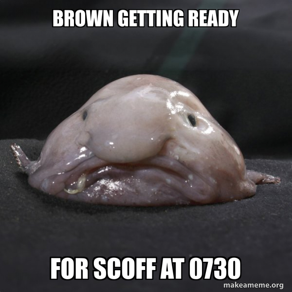 Brown getting ready for scoff at 0730 - Blobfish Meme Generator