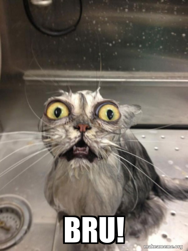 BRU! - Cat bath Meme Generator
