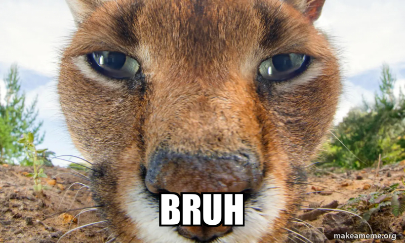 bruh Meme Generator