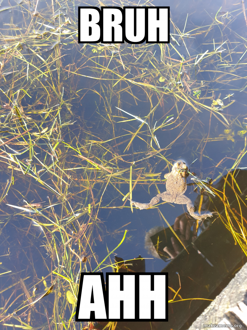 Bruh Ahh Meme Generator