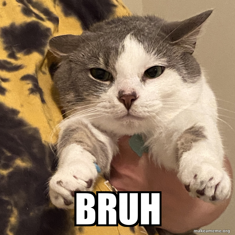 Bruh Meme Generator