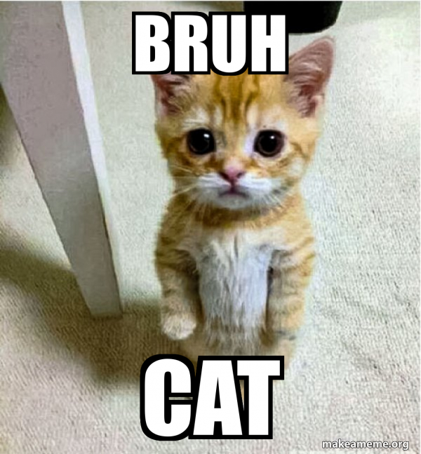 bruh cat - Cute Cat Standing Meme Generator