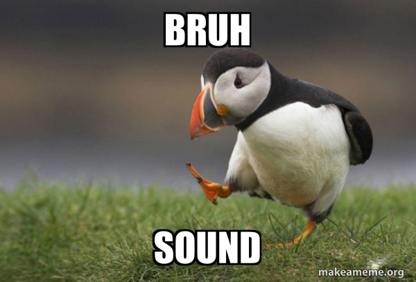 bruh sound - Unpopular Opinion Puffin Meme Generator