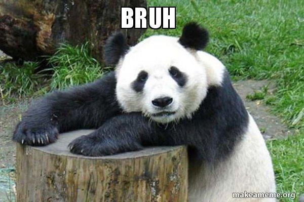 bruh - Confession Panda Meme Generator