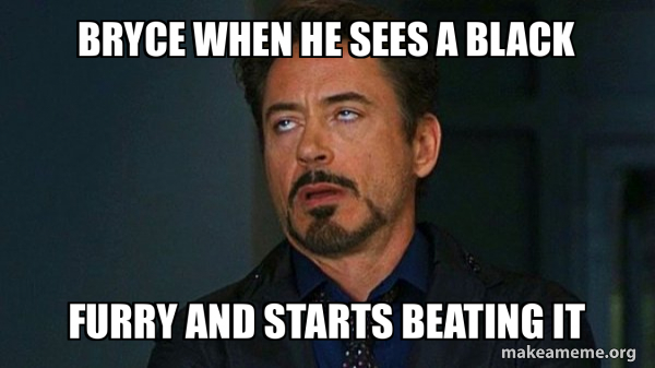 Bryce when he sees a black furry and starts beating it - Tony Stark Eye ...