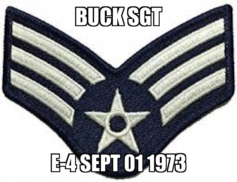 BUCK SGT E-4 SEPT 01 1973 Meme Generator