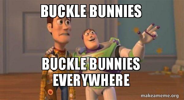 Buckle bunnies Buckle bunnies everywhere - Buzz and Woody (Toy Story ...
