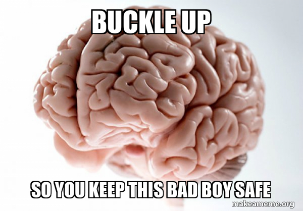 Buckle up so you keep this bad boy safe - Scumbag Brain Meme Generator
