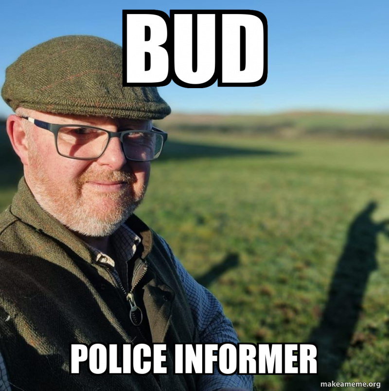 Bud Police informer Meme Generator