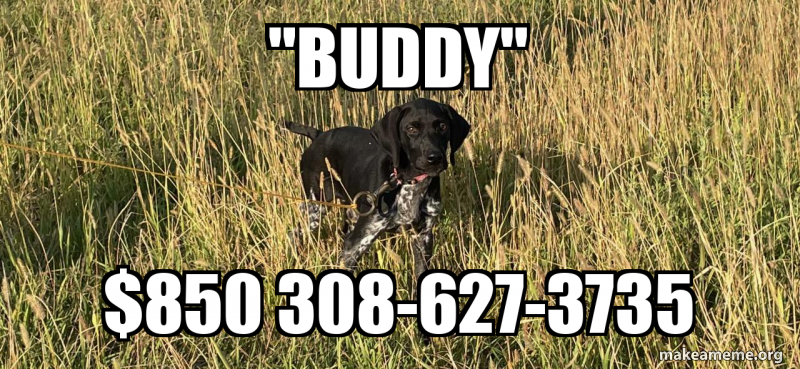 "buddy" $850 308-627-3735 Meme Generator