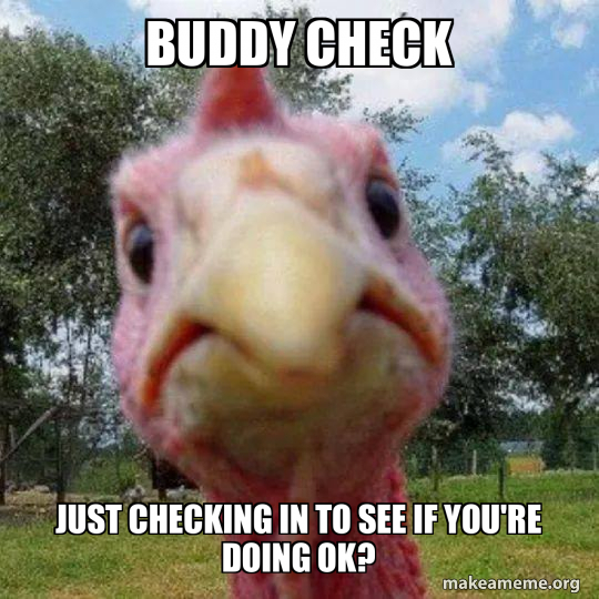buddy check just checking in to see if you're doing ok? Meme Generator
