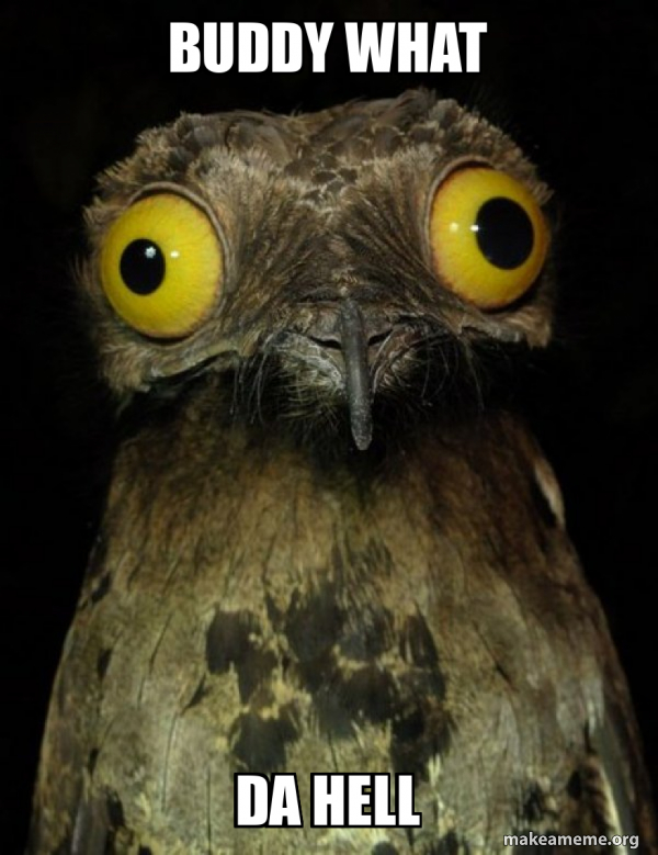 Buddy what da hell - Weird Stuff I do Potoo Meme Generator