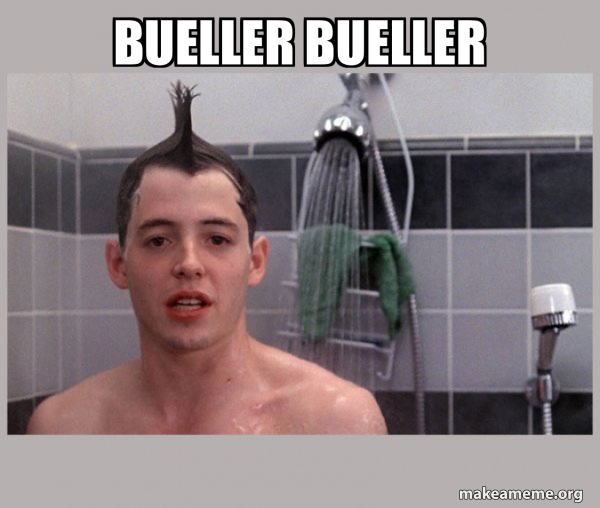 Bueller Bueller - Shower Thoughts Meme Generator