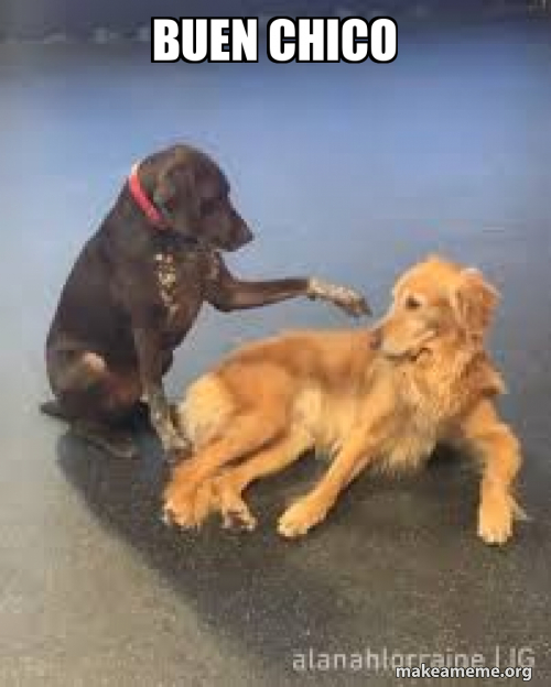 Buen CHico Meme Generator