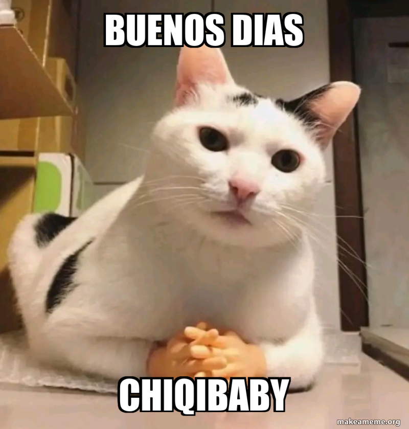 BUENOS DIAS CHIQIBABY Meme Generator