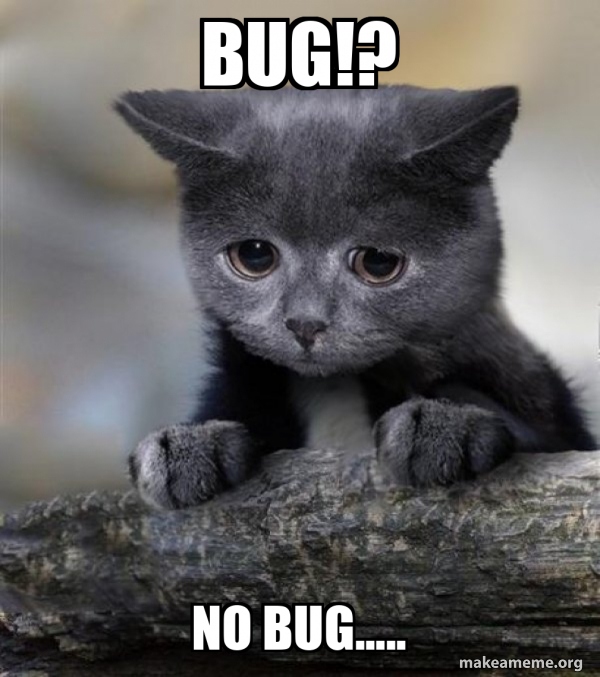 BUG!? no bug..... - Confession Cat Meme Generator