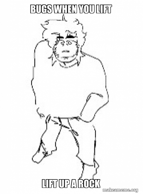 Bugs when you lift LIFT Up a rock Meme Generator