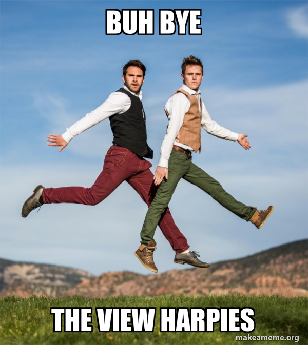 buh bye the view harpies - Real Best Friend Meme Generator