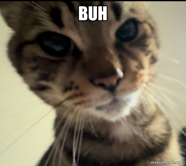 BUH Meme Generator