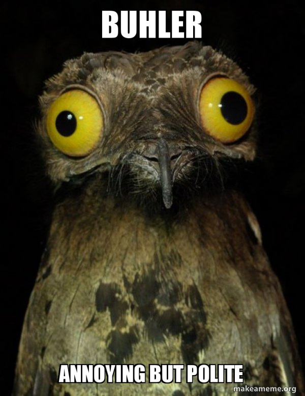 Buhler Annoying but polite - Weird Stuff I do Potoo Meme Generator