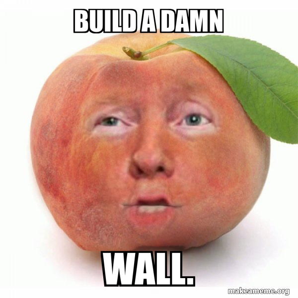 BUILD A DAMN WALL. - Impeached Donald Trump Meme Generator