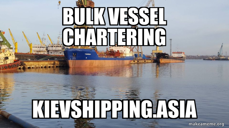 Bulk Vessel Chartering kievshipping.asia Meme Generator