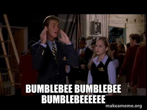 bumblebee bumblebee BUMBLEBEEEEEE Meme Generator