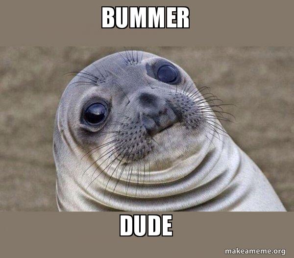 Bummer Dude - Squeamish Seal Meme Generator