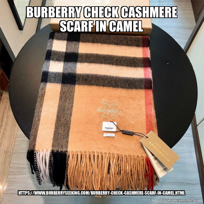 Burberry Check Cashmere Scarf In Camel https://www.burberryseeking.com ...