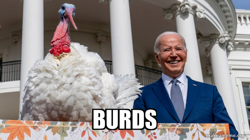 Burds Meme Generator
