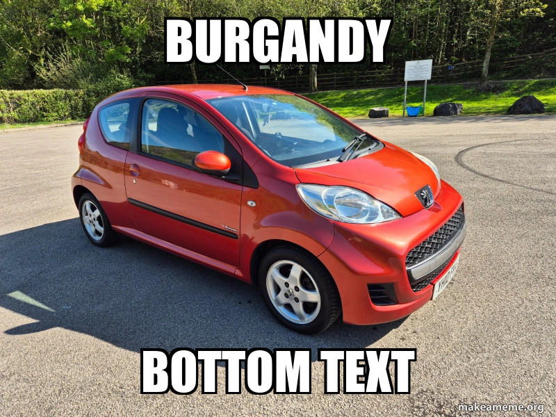 BURGANDY BOTTOM TEXT Meme Generator
