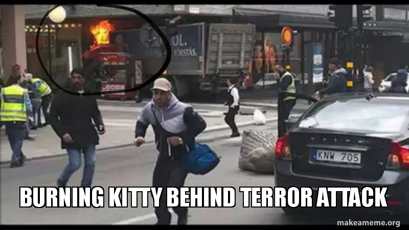 Burning Kitty behind terror attack Meme Generator