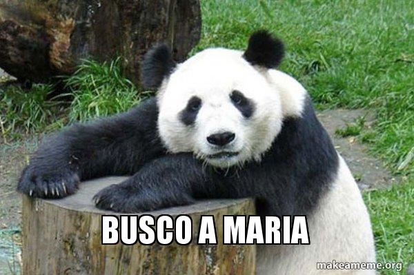 Busco A Maria - Confession Panda Meme Generator