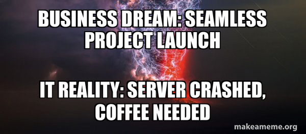 Business Dream: Seamless Project Launch IT Reality: Server Crashed ...