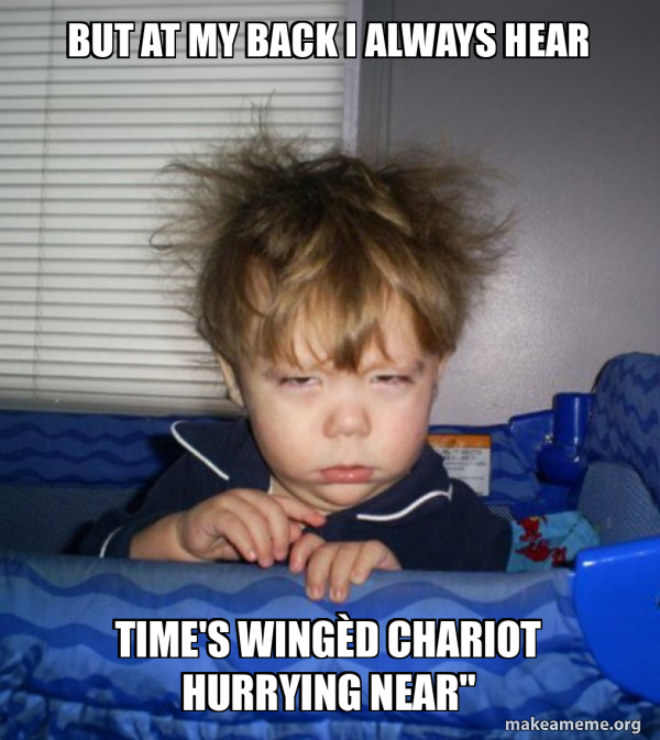 But at my back I always hear Time's wingèd chariot hurrying near ...