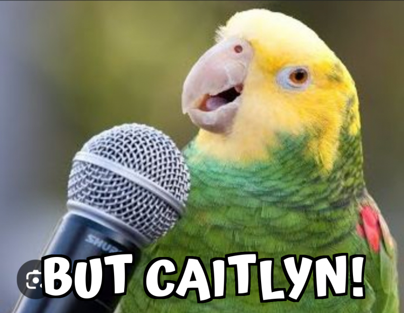 But Caitlyn! Meme Generator