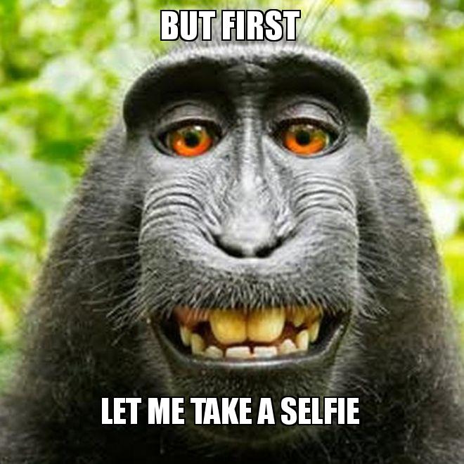 But first let me take a selfie - Monkey selfie Meme Generator