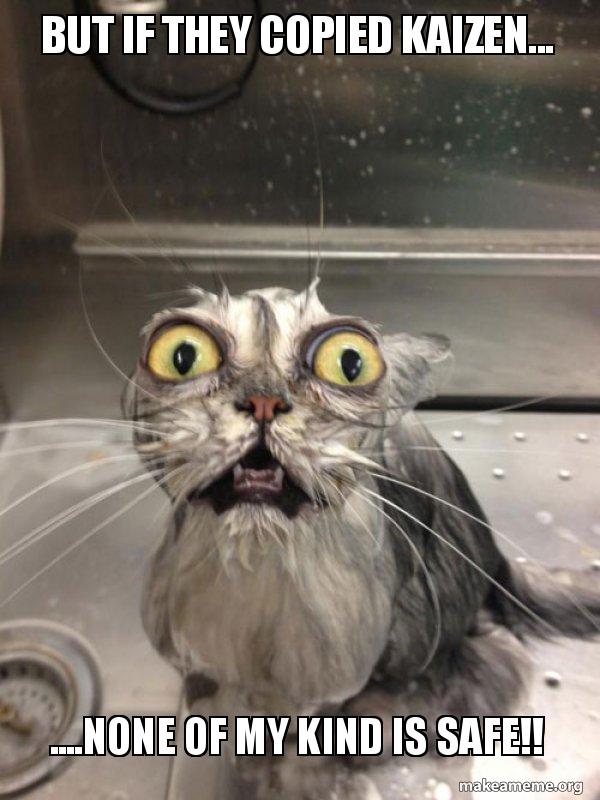 But if they copied Kaizen... ....none of my kind is safe!! - Cat bath ...