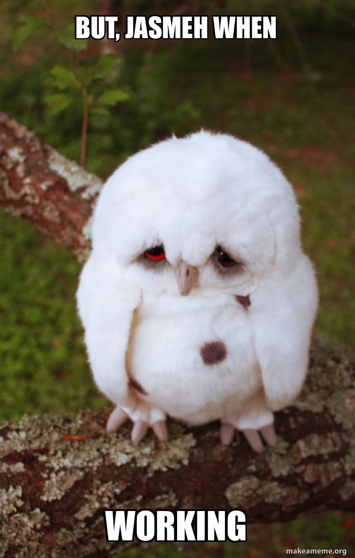 but, Jasmeh when Working - Sad Owl Meme Generator