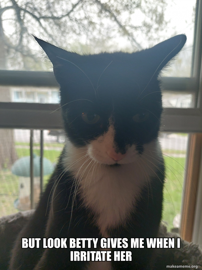 But look Betty gives me when I irritate her Meme Generator